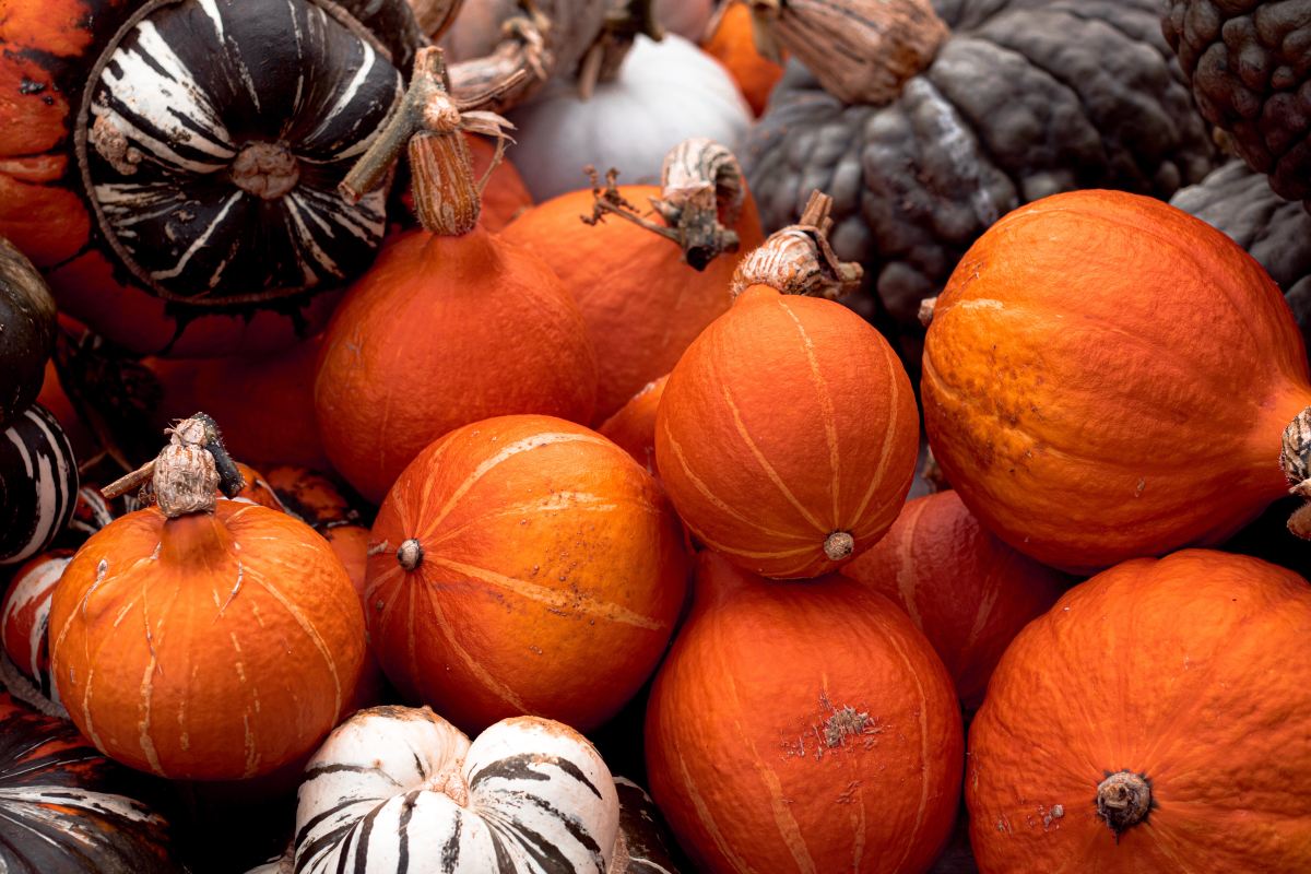 A Look Back at a Whirlwind of a Month…Otherwise Known as October ...